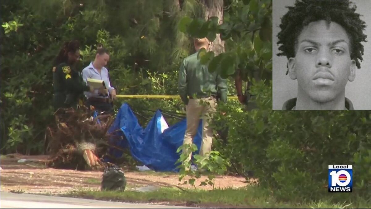 Florida Haitian Brothers: Tragedy in Dania Beach Leaves Mother Mourning ...